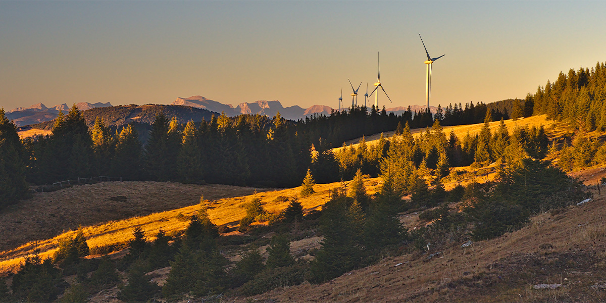 TGRC Limited t/a The Green Recruitment · Green Recruitment Company